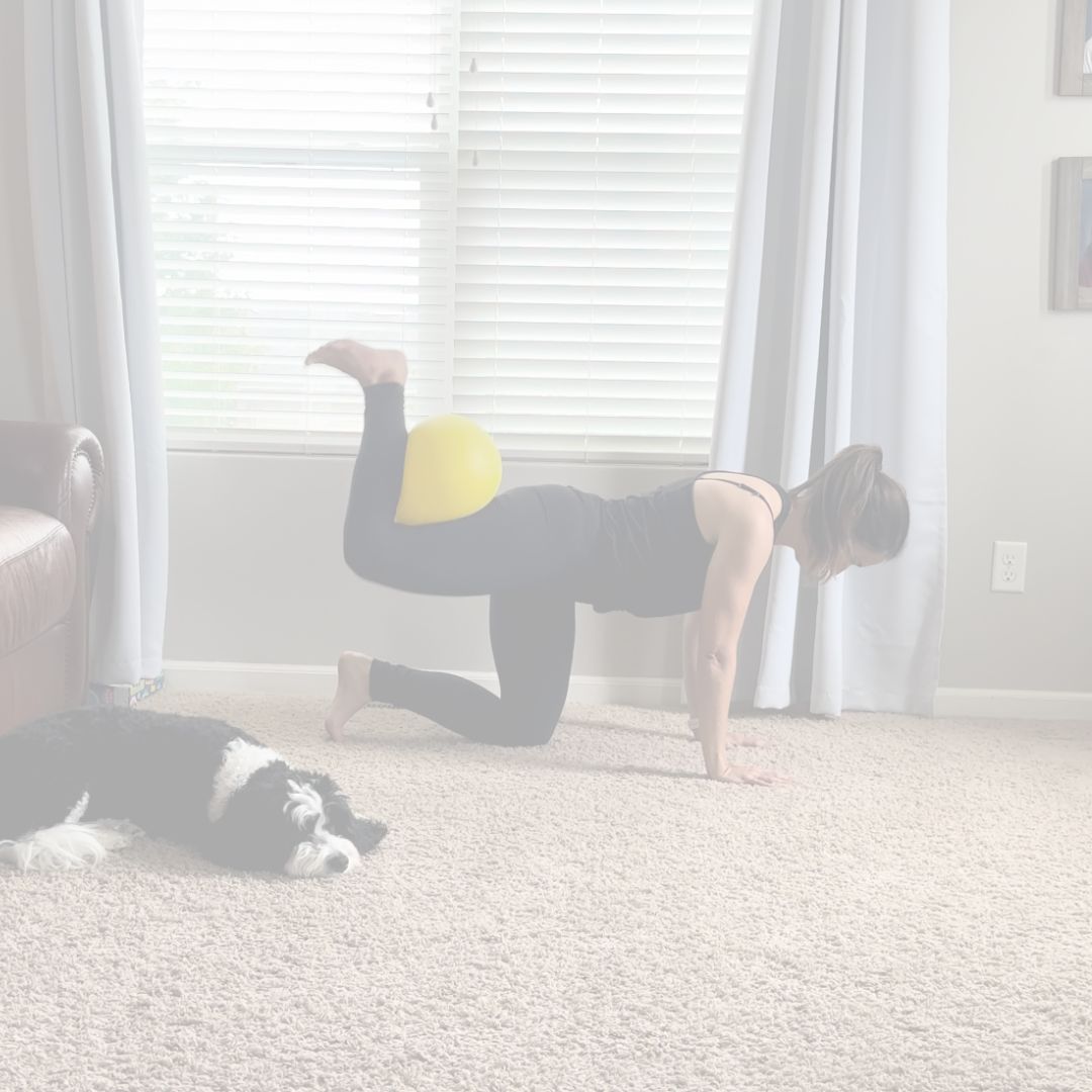 Mini Ball Workout - Daily Dietitian