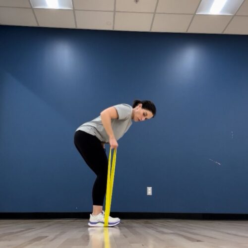 At-Home Full Body Mini Band Workout - Daily Dietitian